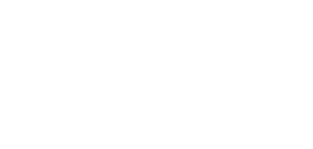 EdiDev – Consulting and Development